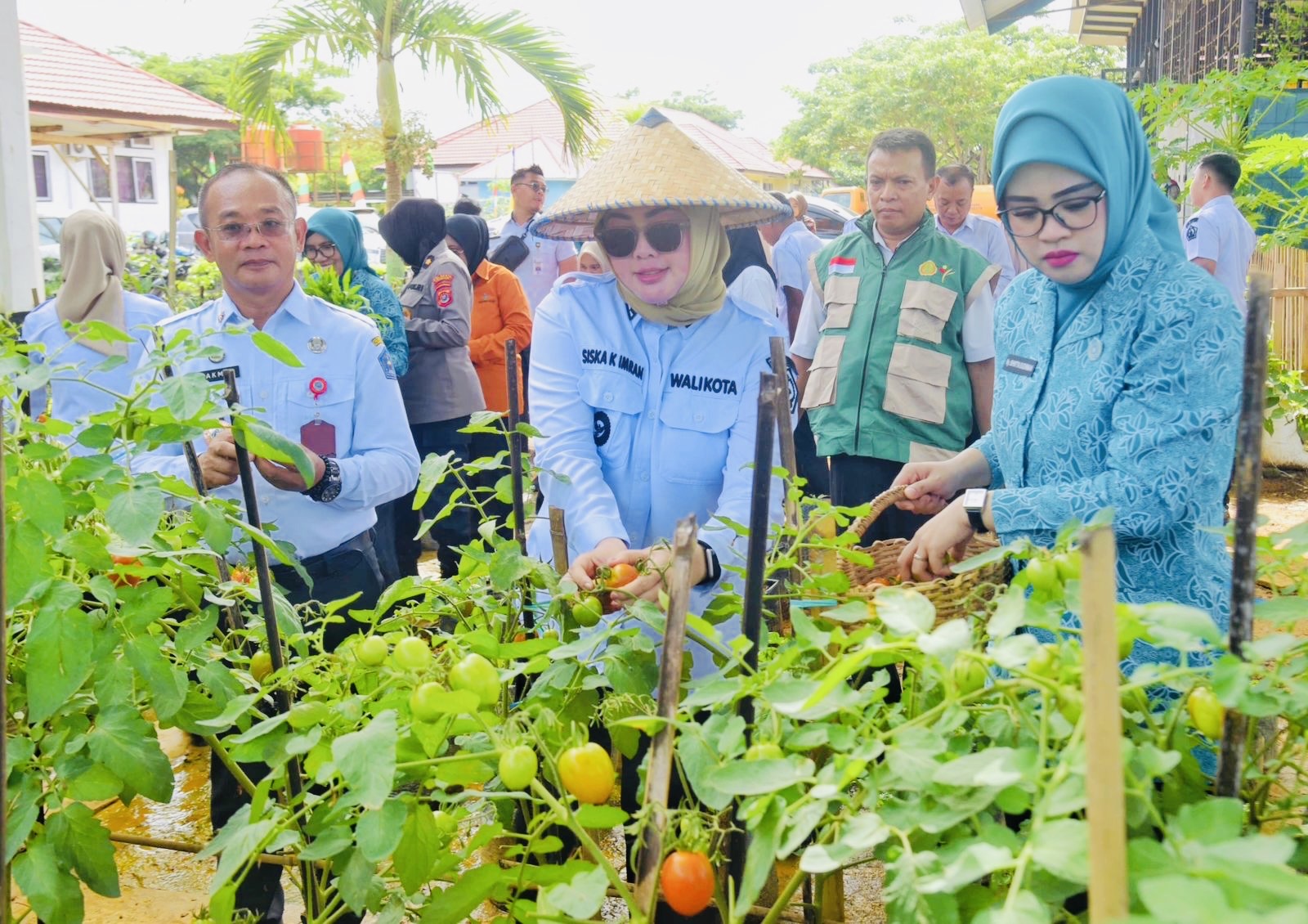 Urban Farming dan Kombinasi Perikanan Darat Jadi Strategi Distan ...